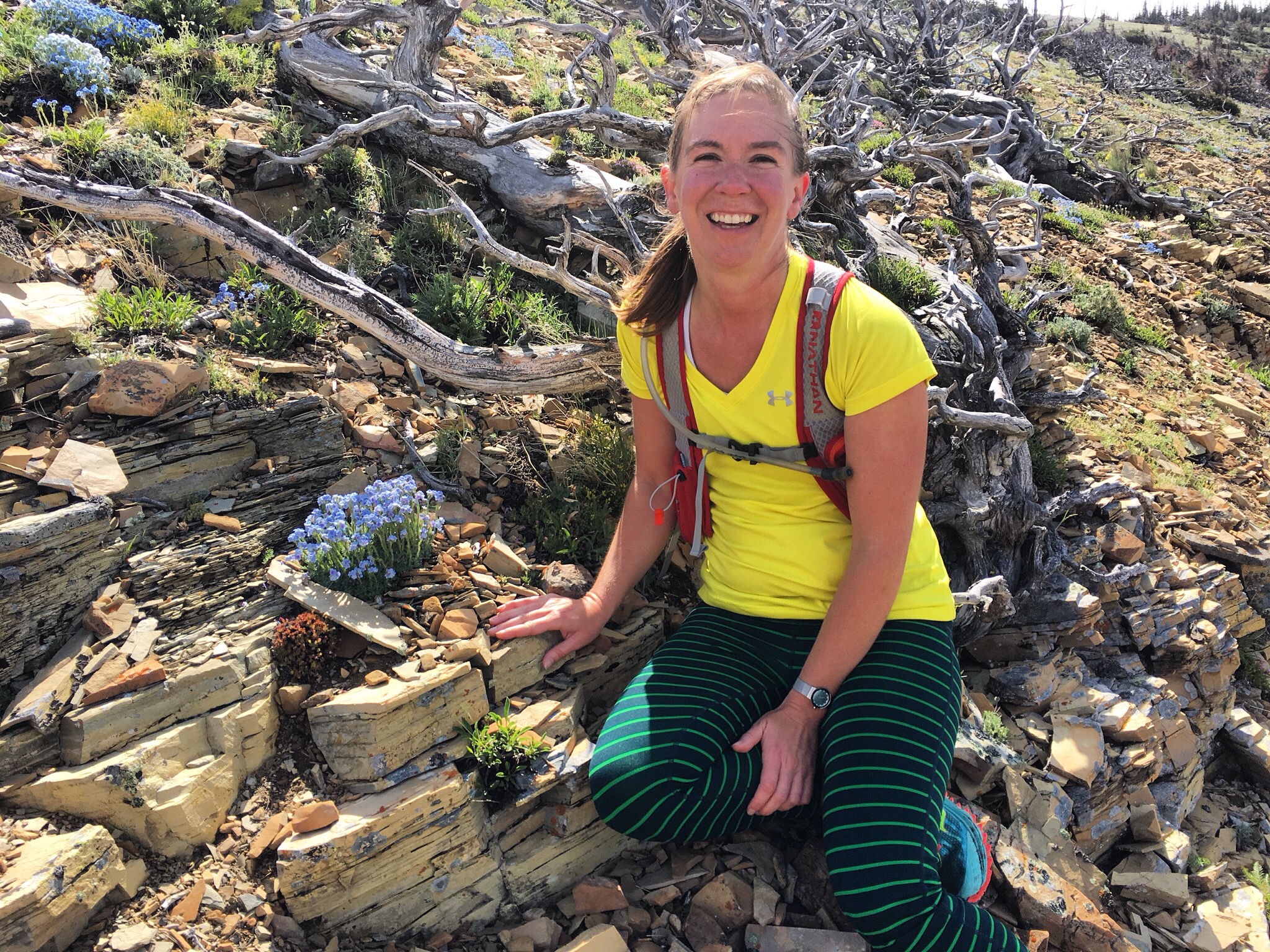 Member Spotlight New Run Wild Missoula Board Members Missoula Marathon